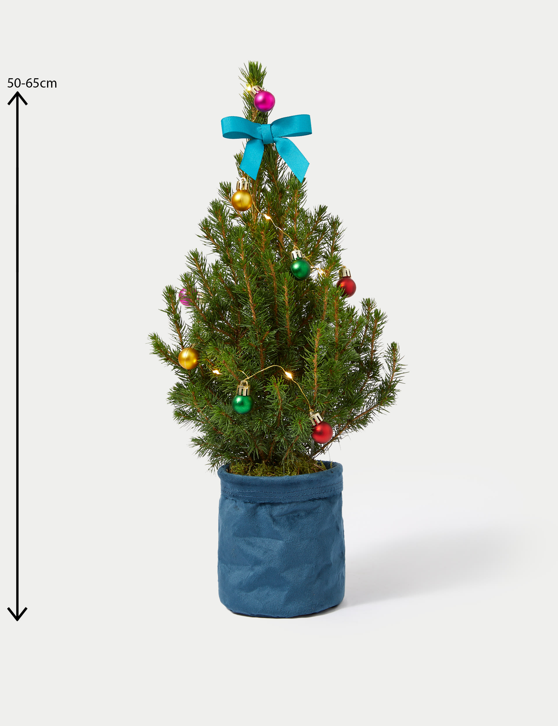 Letterbox Real Christmas Tree in Velvet Pot | M&S