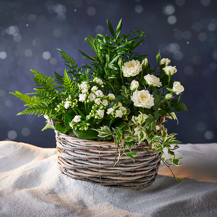 Lamb masala keema, aloo gobi, lemon rice and kachimoru Recipe | M&S