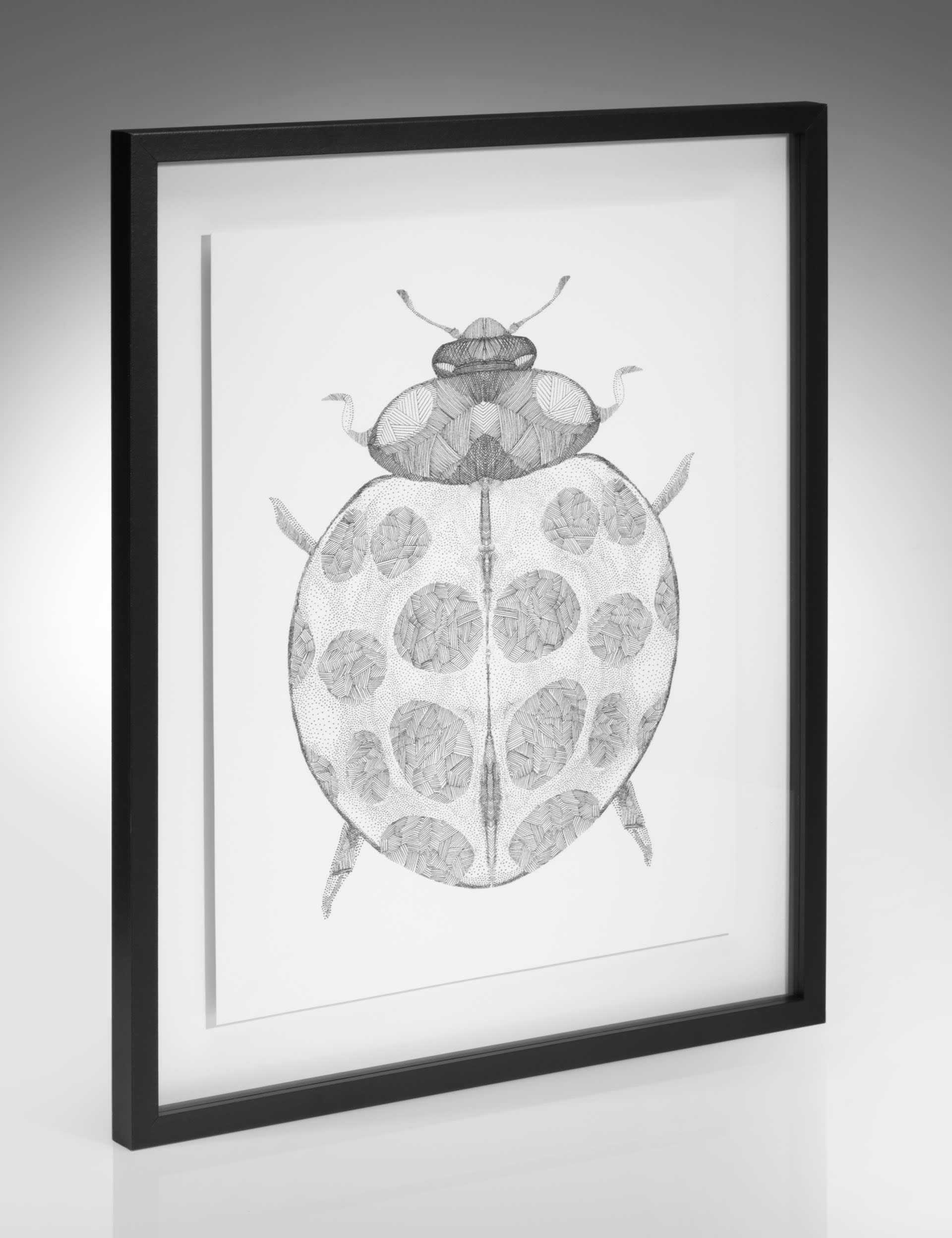 Conran Ladybird Framed Wall Art | M&S