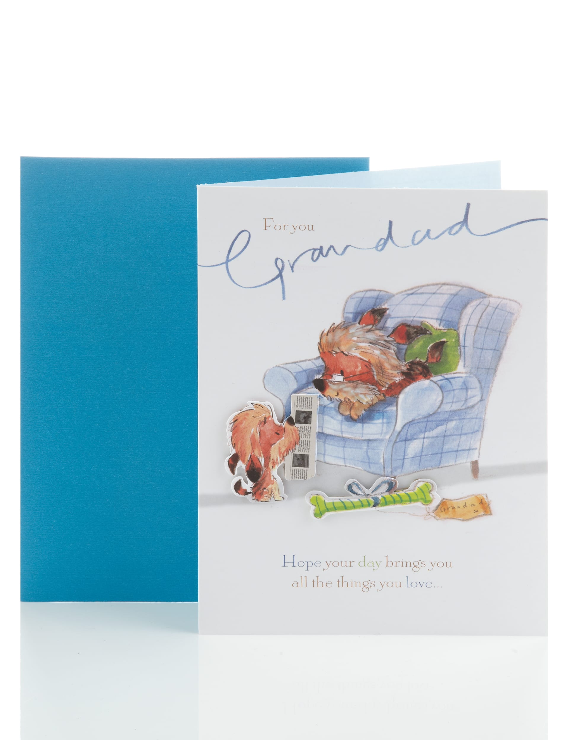 Classic Cartoon Dogs Grandad Birthday Card | M&S