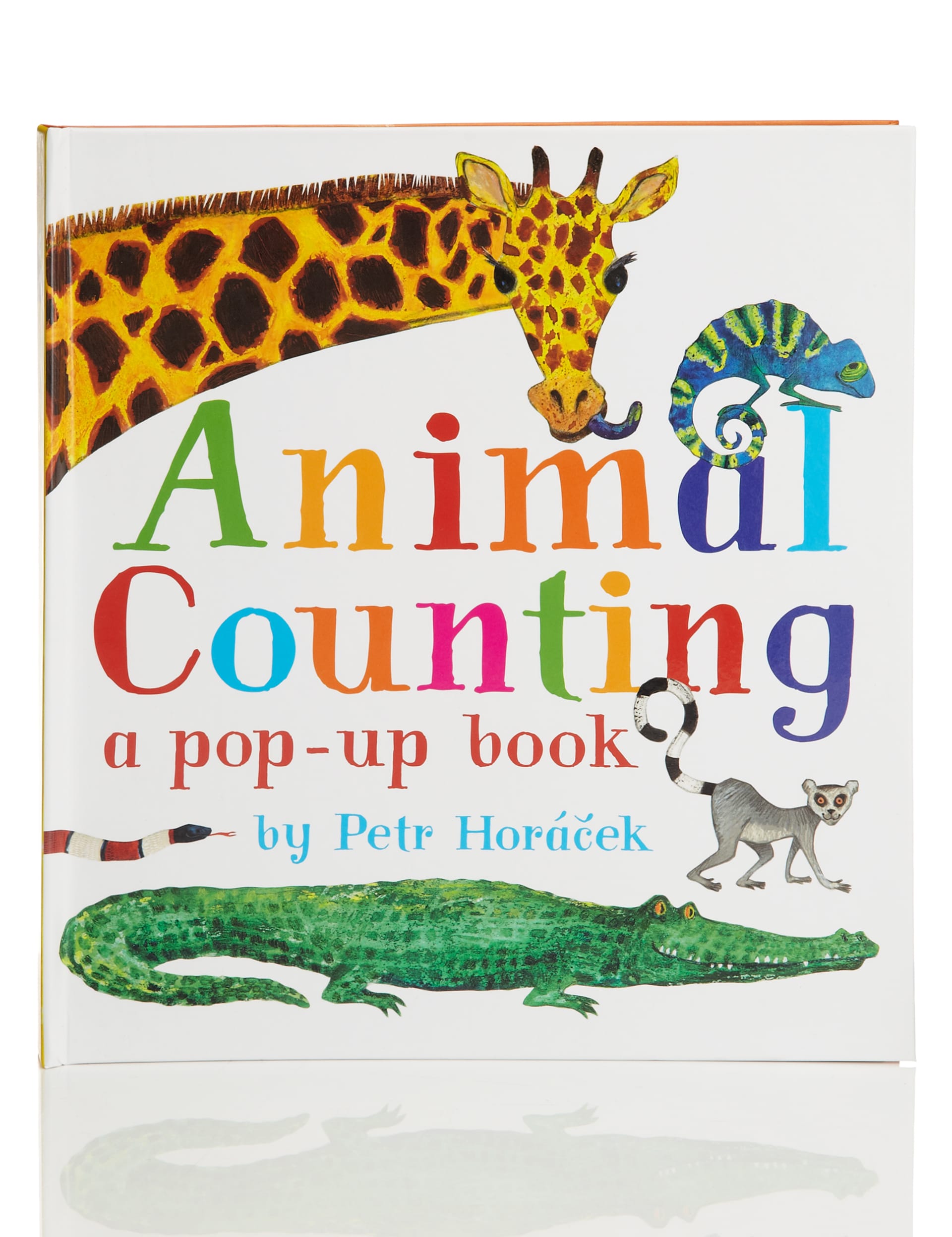 Animal Counting Book | M&S