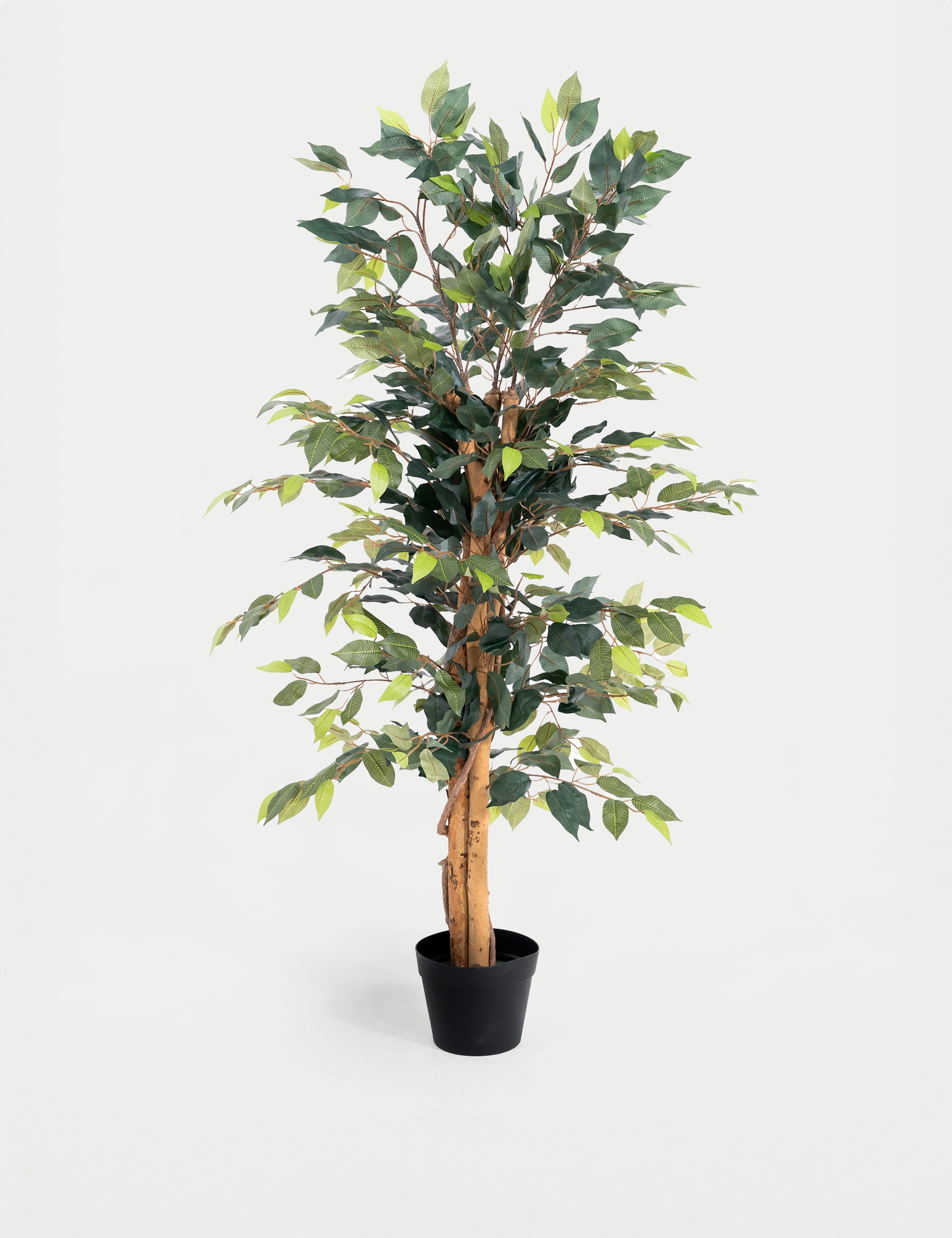 4ft Artificial Ficus Tree in Pot | Blooming Artificial | M&S
