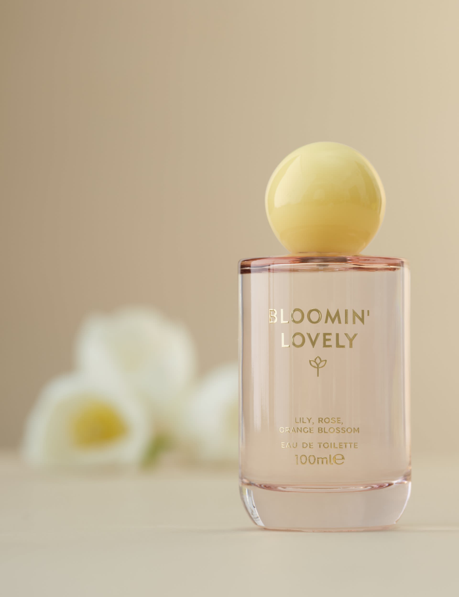 Bloomin Lovely Limited Edition Eau de Toilette 100ml | Discover | M&S