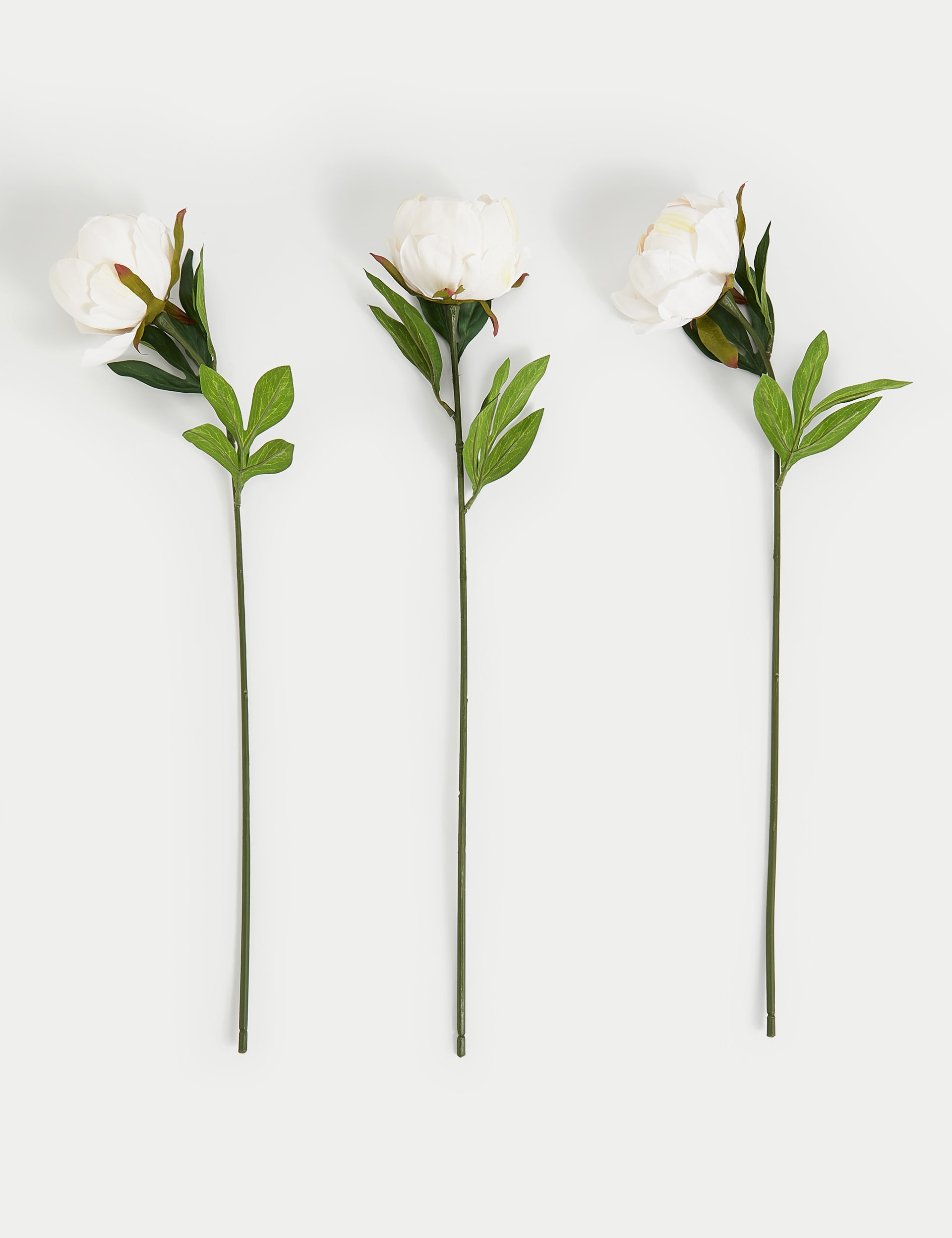 Set of 3 Artificial Closed Peonies | Moss & Sweetpea | M&S