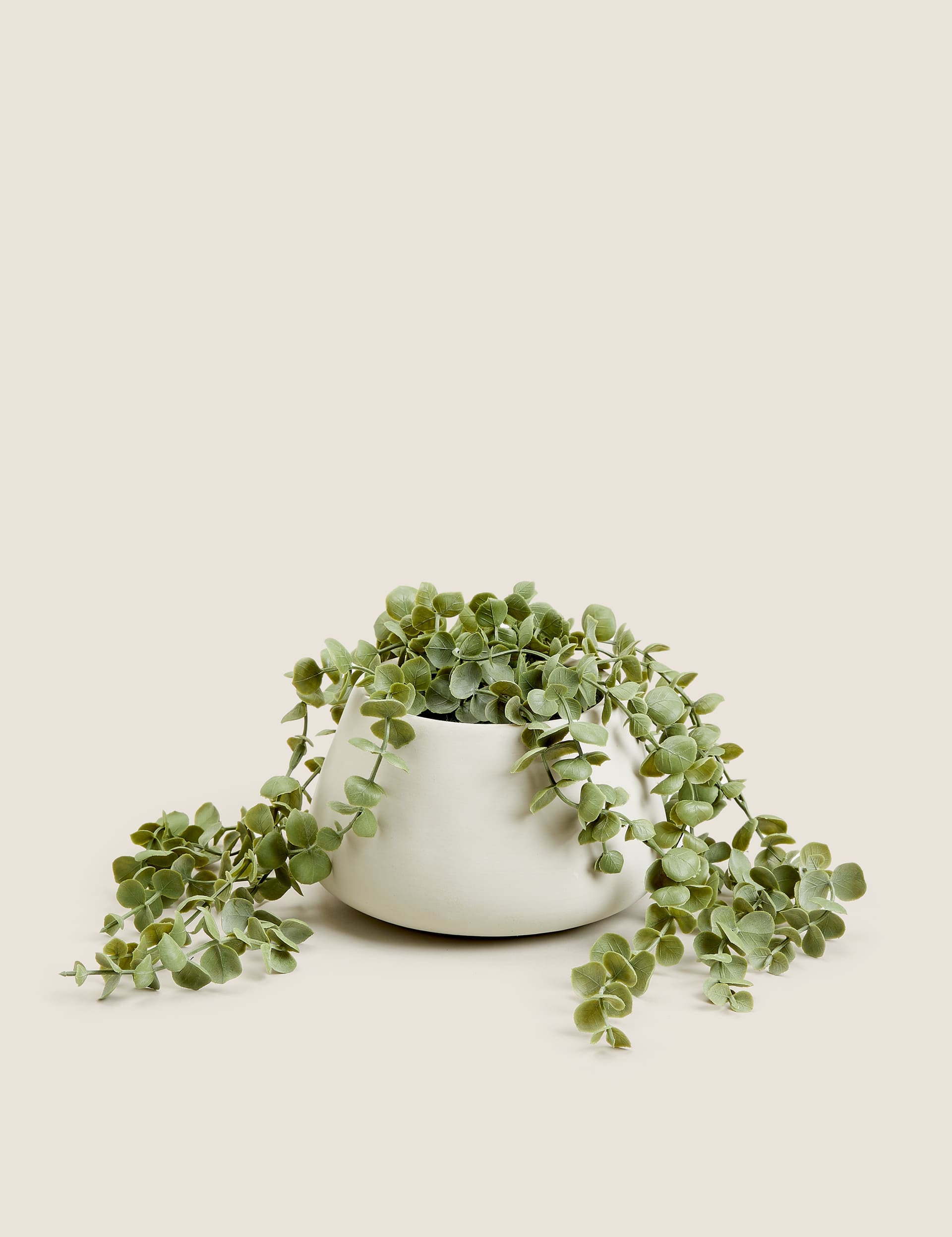 Artificial Trailing String of Hearts Plant | Moss & Sweetpea | M&S