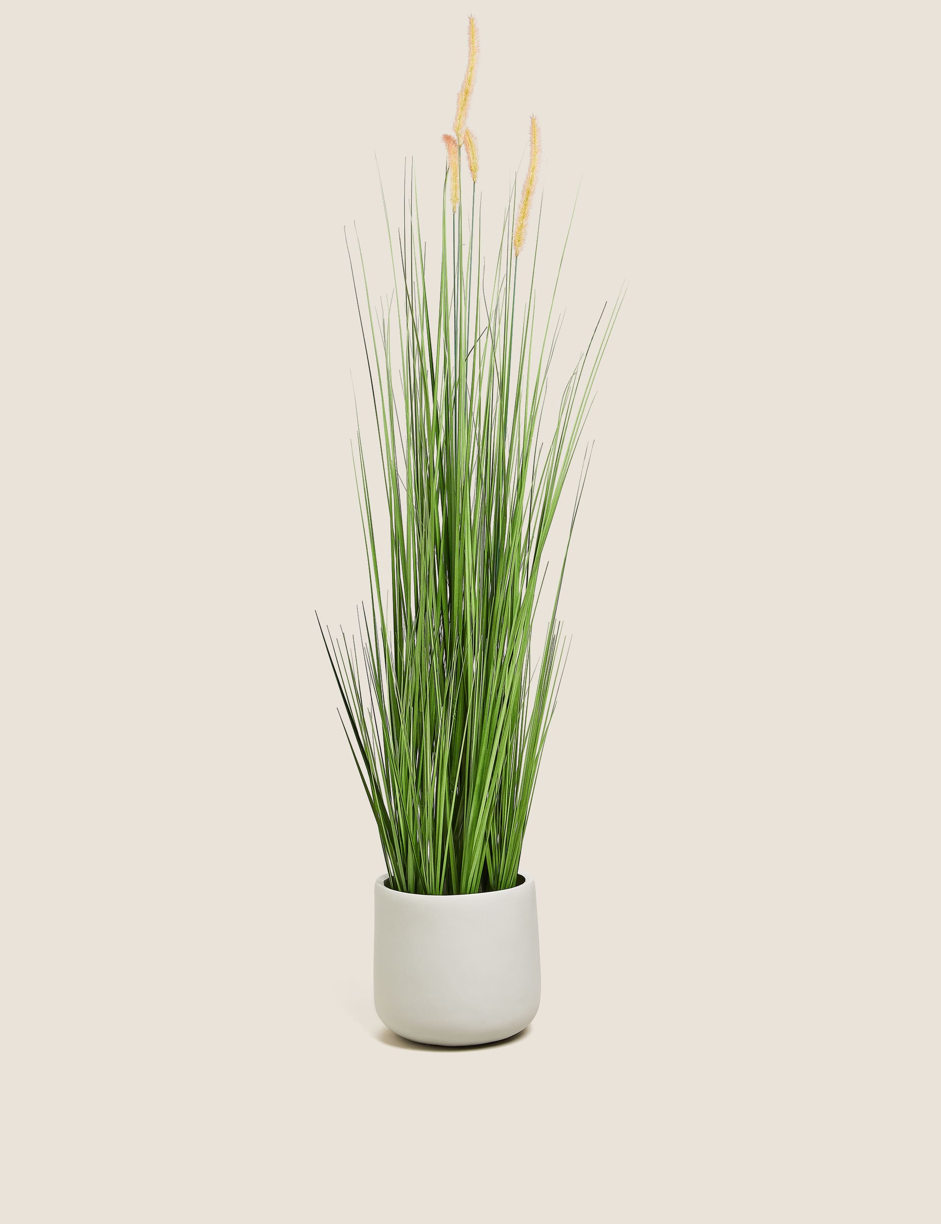 Artificial Floor Standing Foxtail Grass | M&S IE