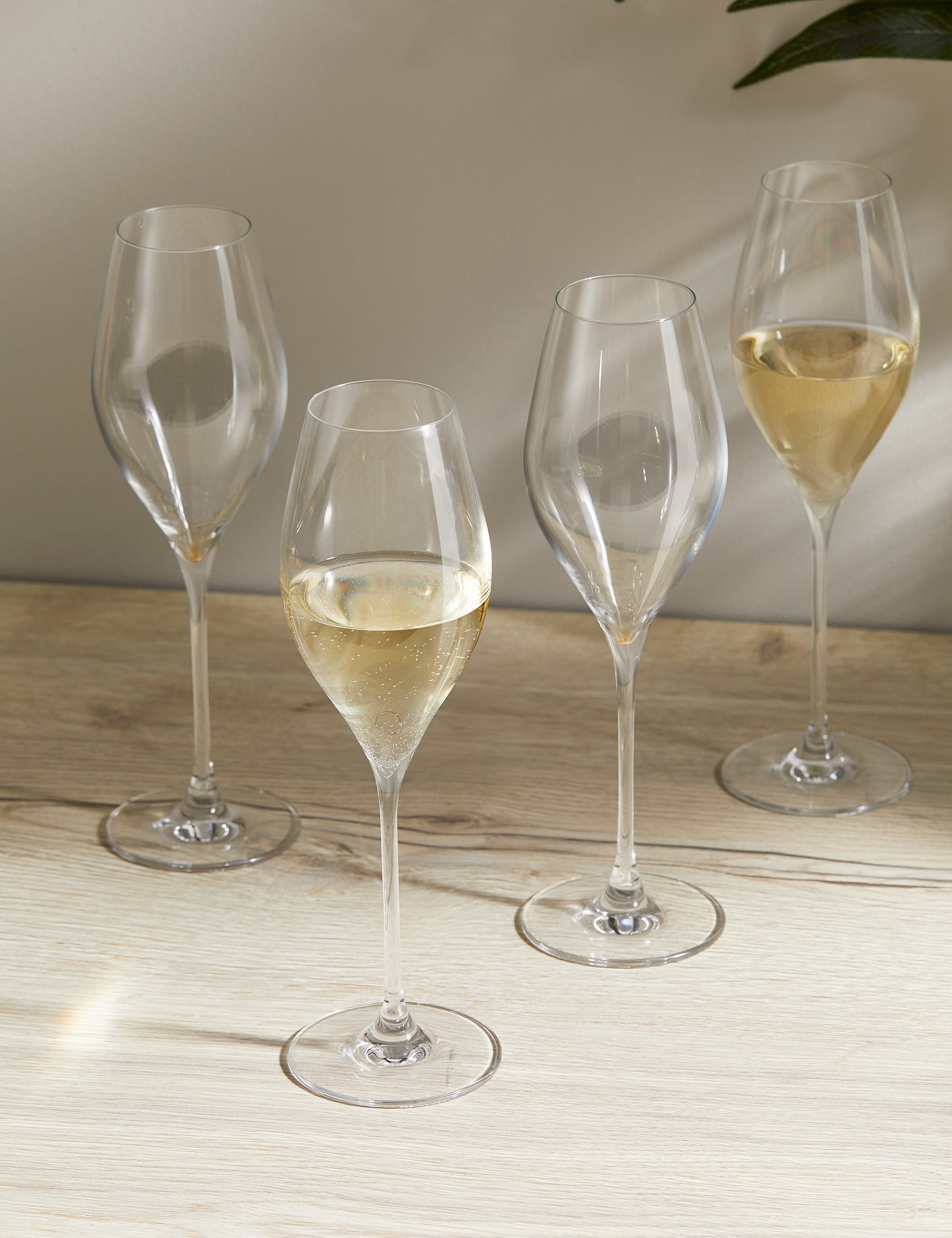 Prosecco Glasses | M&S