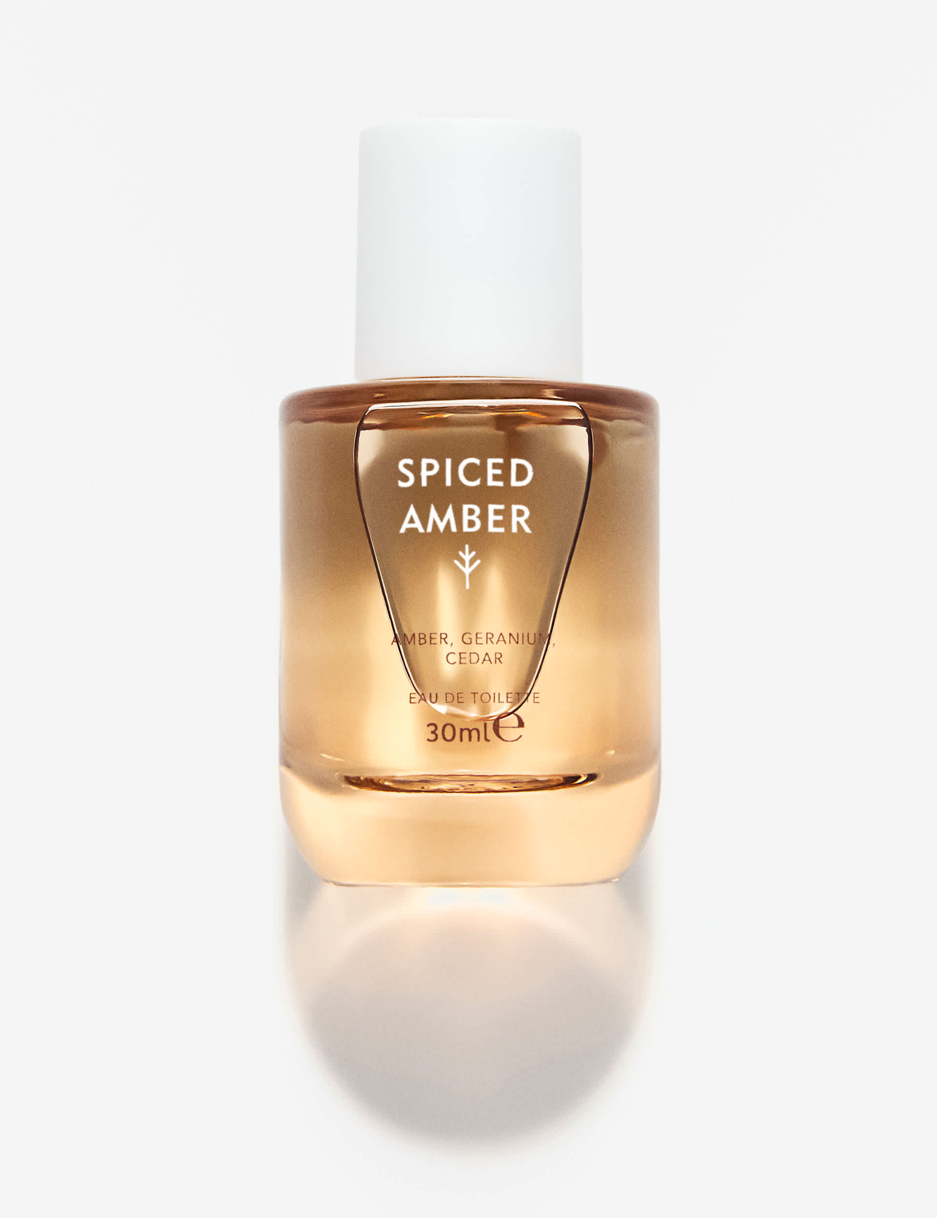Spiced Amber Eau De Toilette 30ml | Discover | M&S