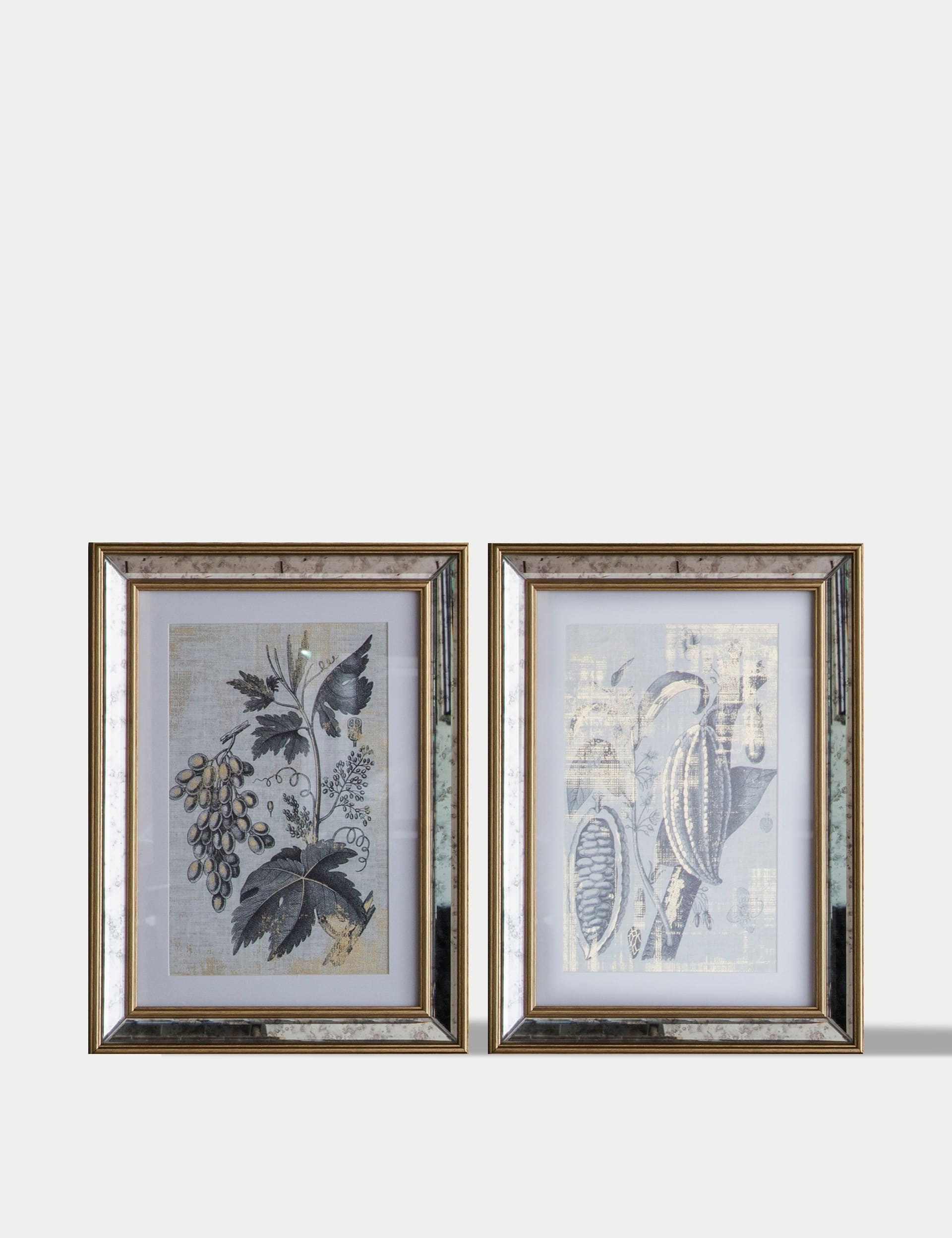 Set of 2 Braun Botanical Rectangle Framed Art | Gallery Direct | M&S