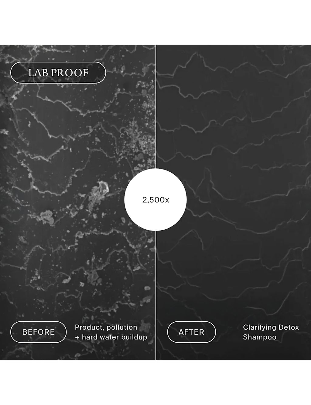 Clarifying Detox Shampoo 236ml | Living proof.® | M&S
