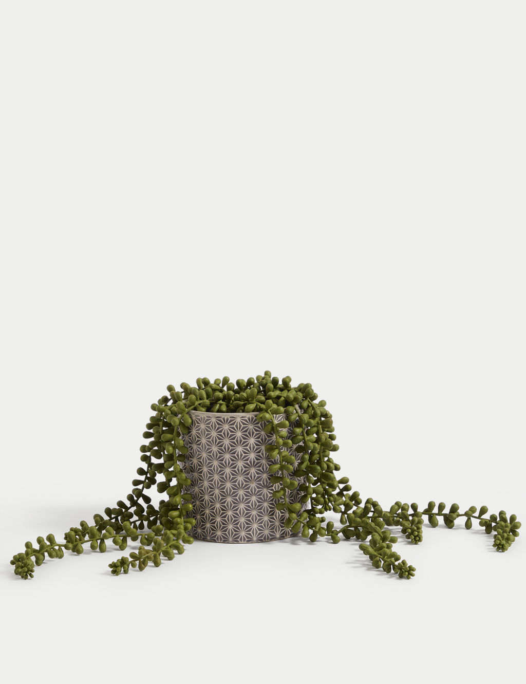 Artificial String of Pearls in Ceramic Pot | Moss & Sweetpea | M&S
