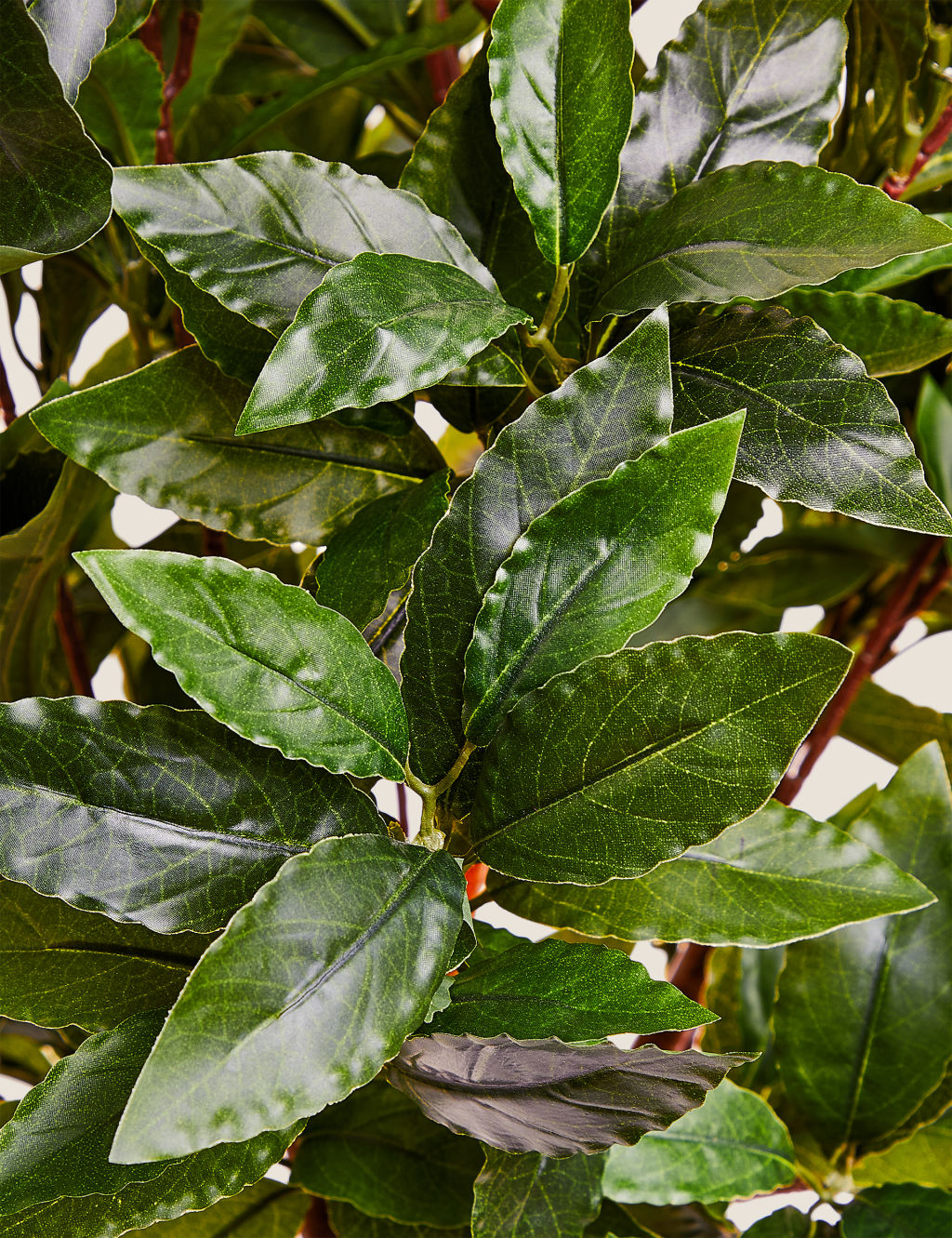 Artificial Floor Standing Bay Tree | M&S