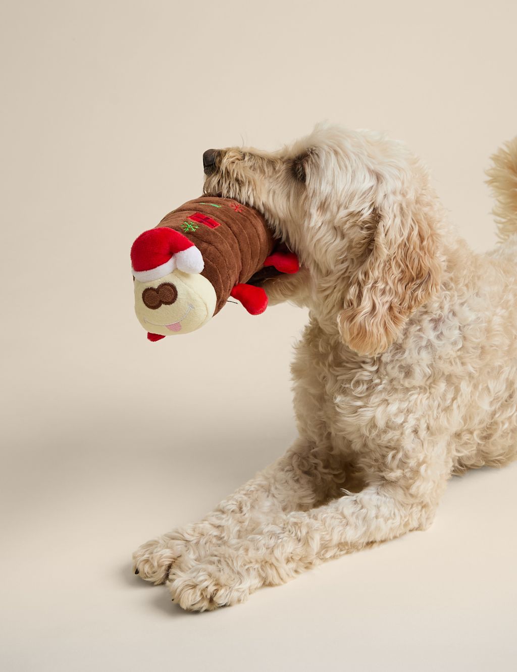 Colin the Caterpillar™ Pet Toy | Colin the Caterpillar™ | M&S