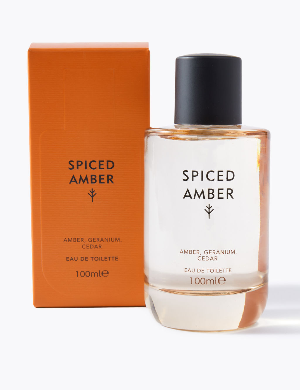 Spiced Amber Eau De Toilette 100ml | Discover | M&S