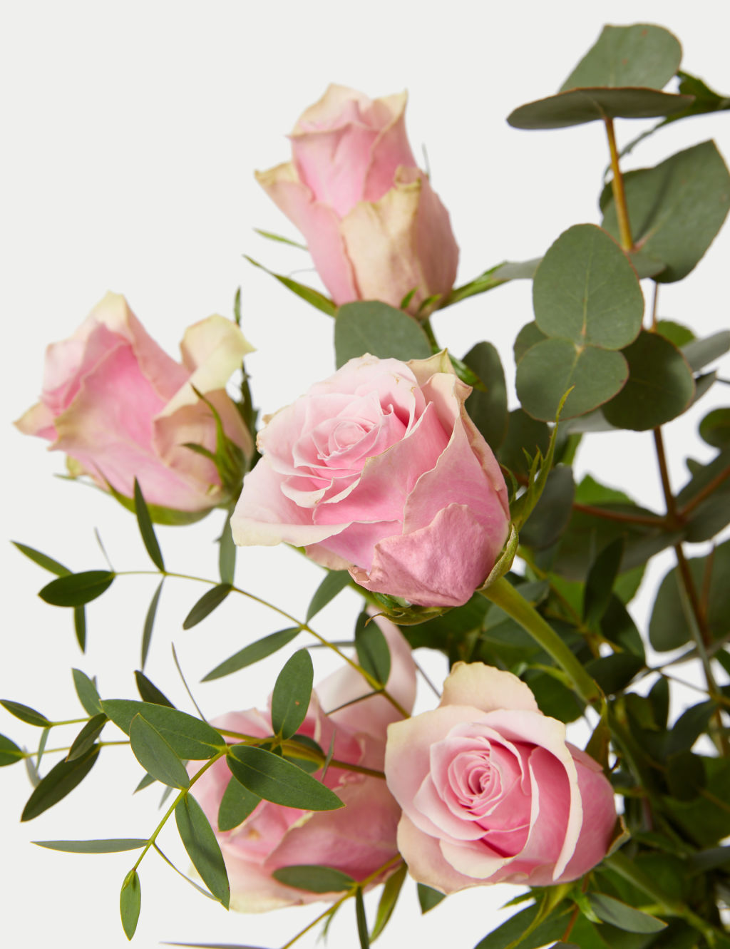 Blush Rose Bouquet | M&S