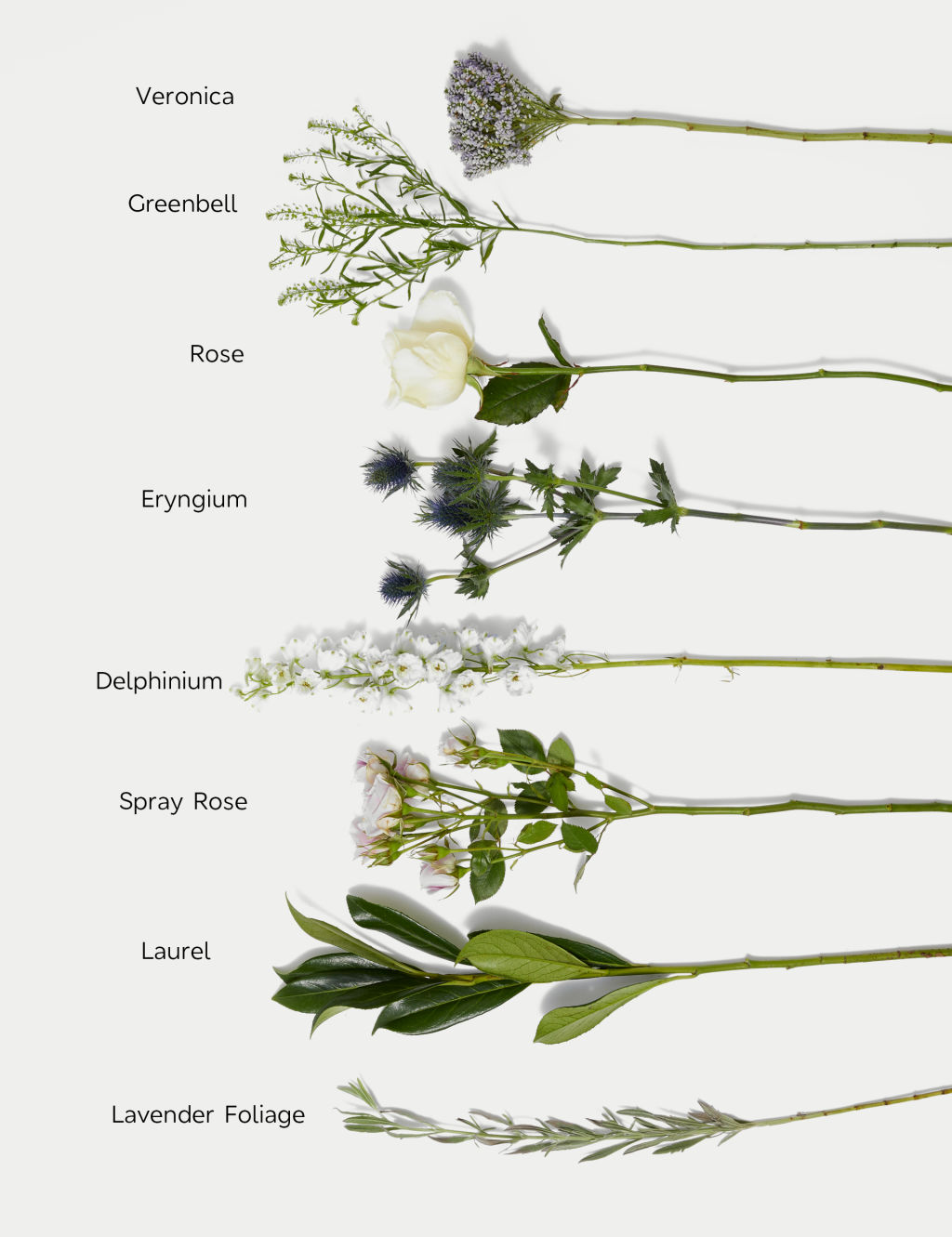 Delphinum & Rose Bouquet | M&S