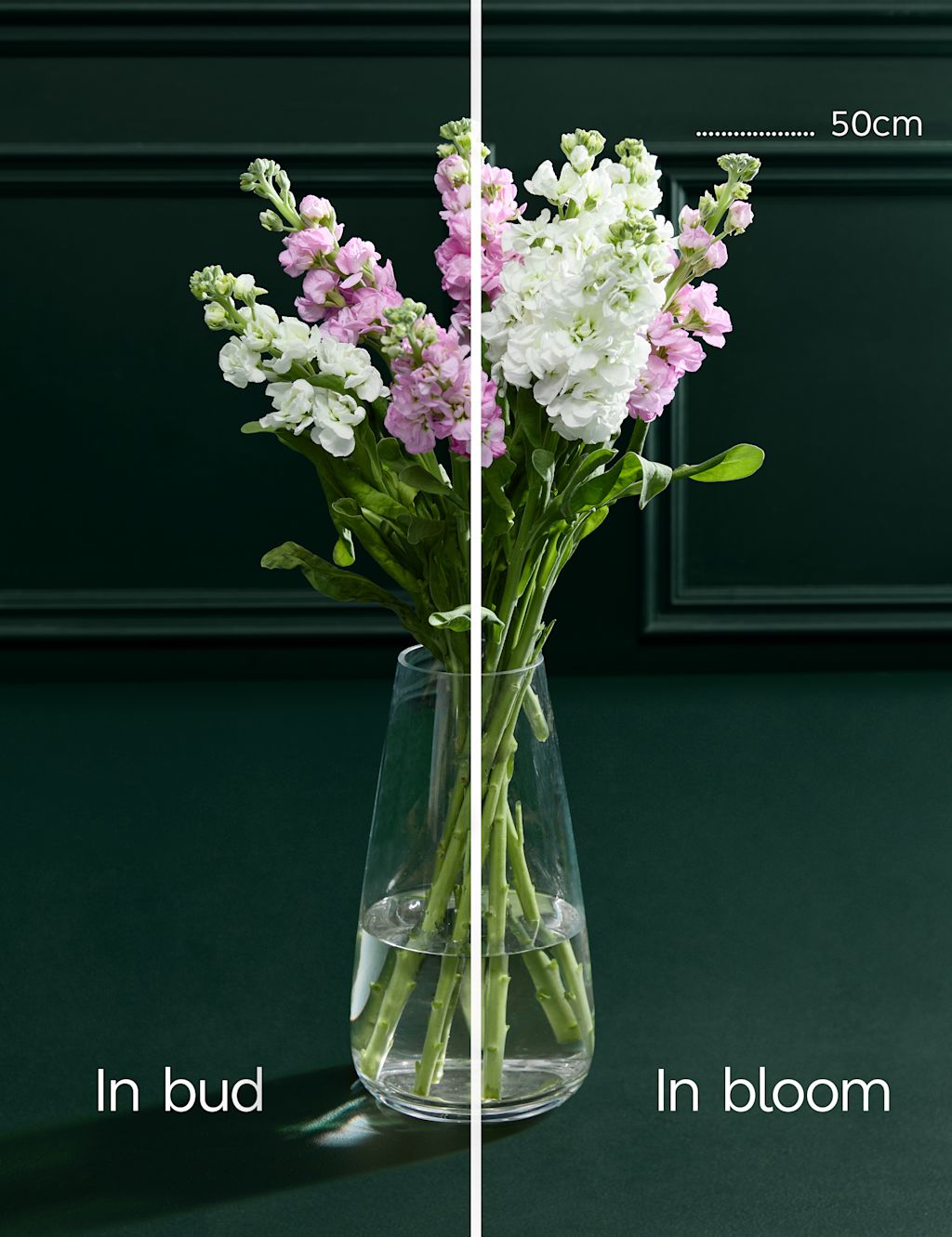 Roses & Stocks Flowers Bouquet | M&S