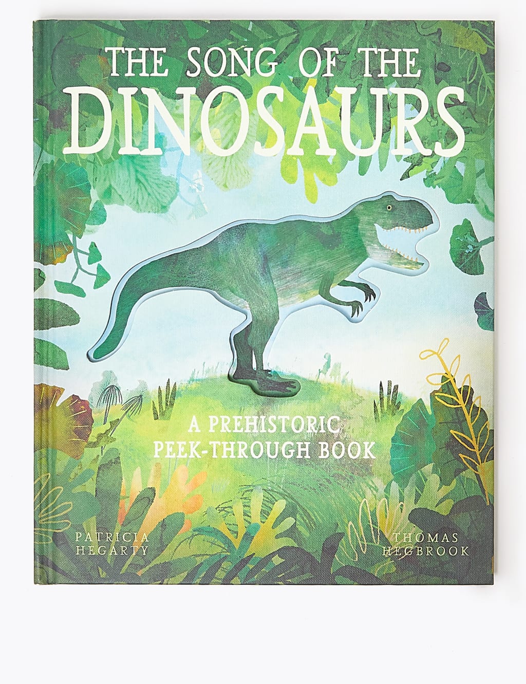 The Song Of The Dinosaurs Story Book | M&S IE