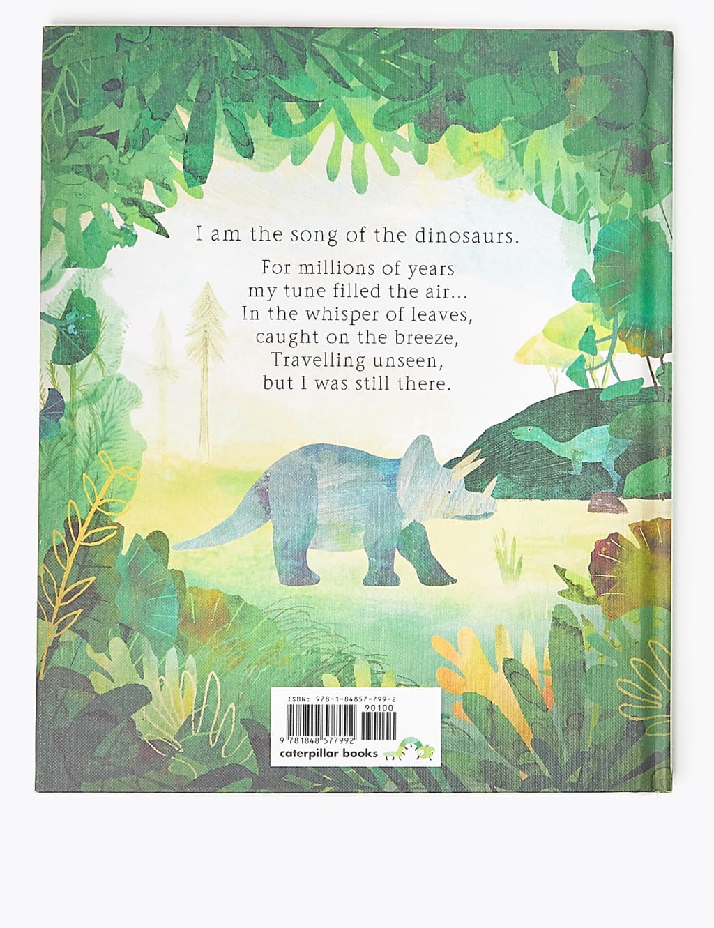 The Song Of The Dinosaurs Story Book | M&S IE
