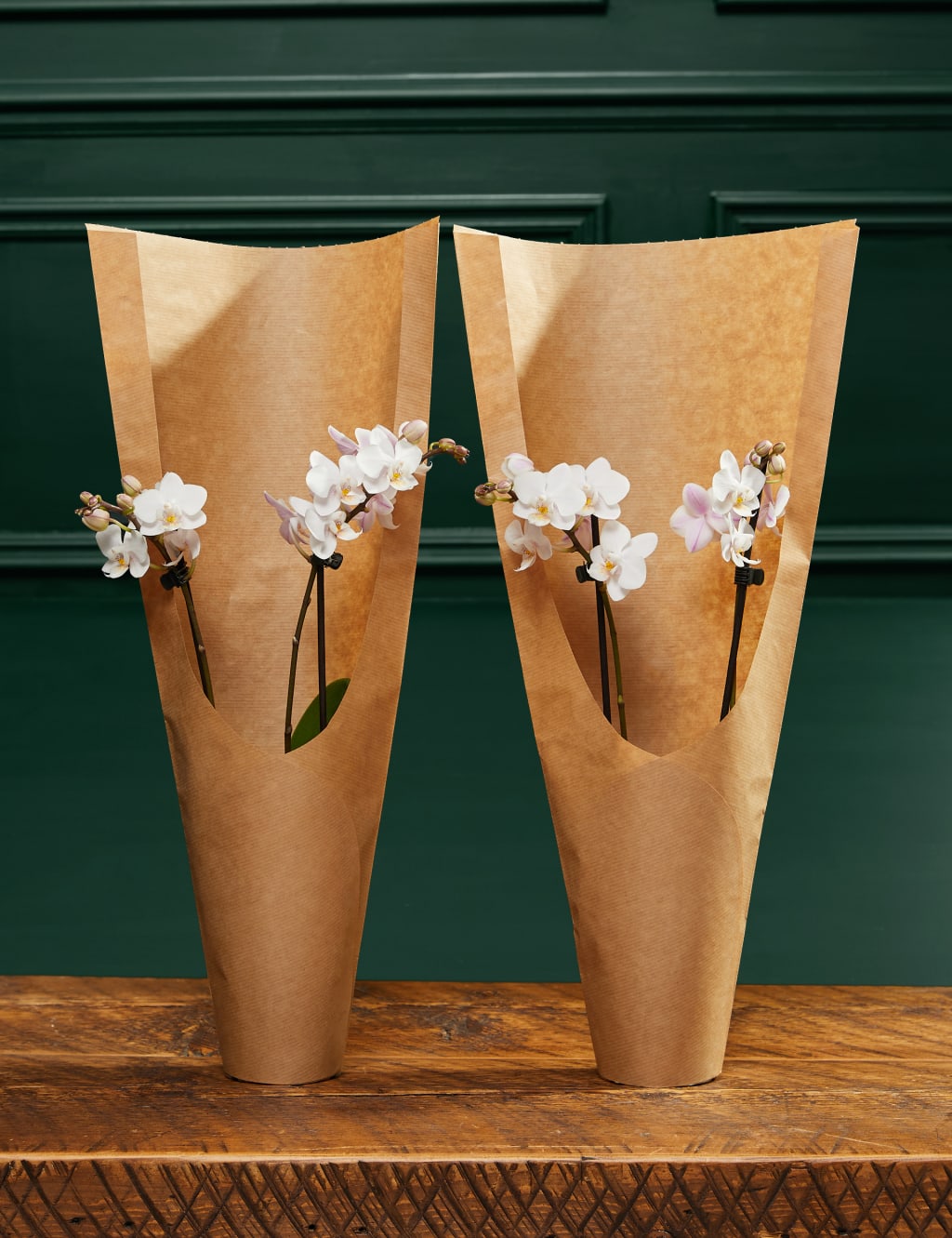 Two White Phalaenopsis Orchids | M&S