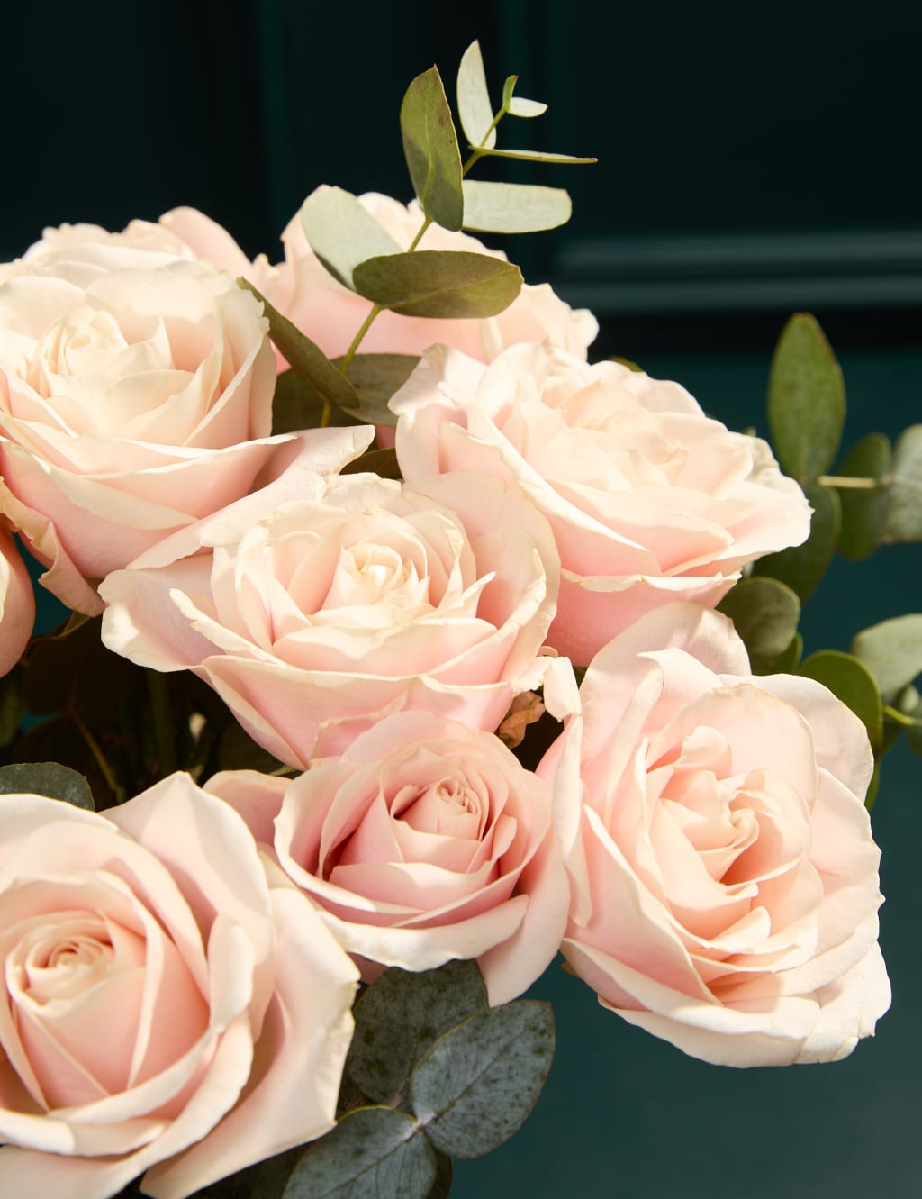 Dozen Pretty Pastel Pink Roses Bouquet | M&S