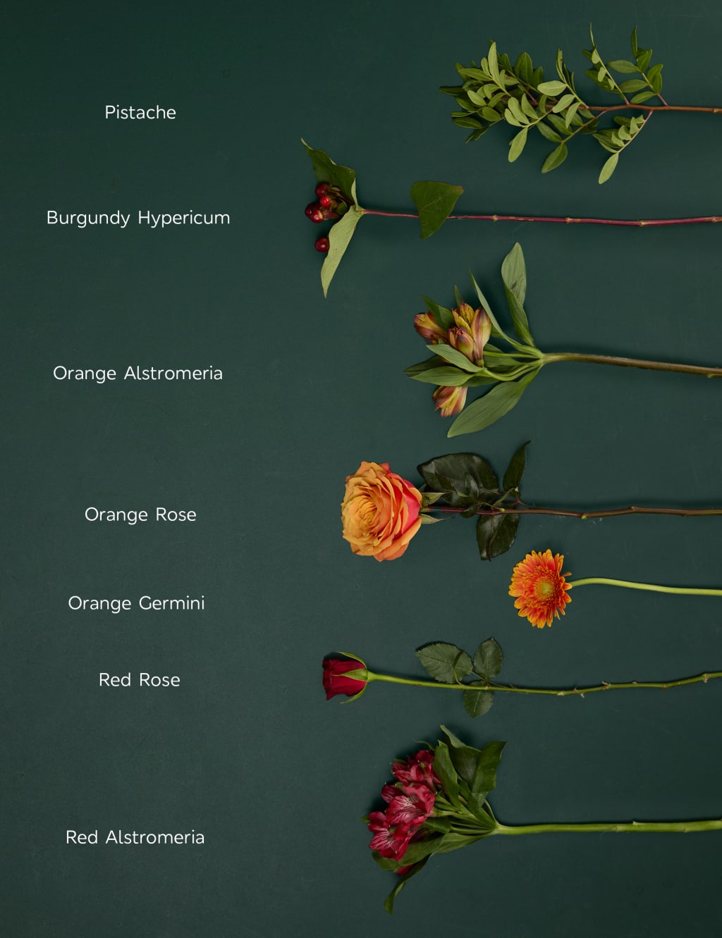 Germini & Rose Bouquet | M&S