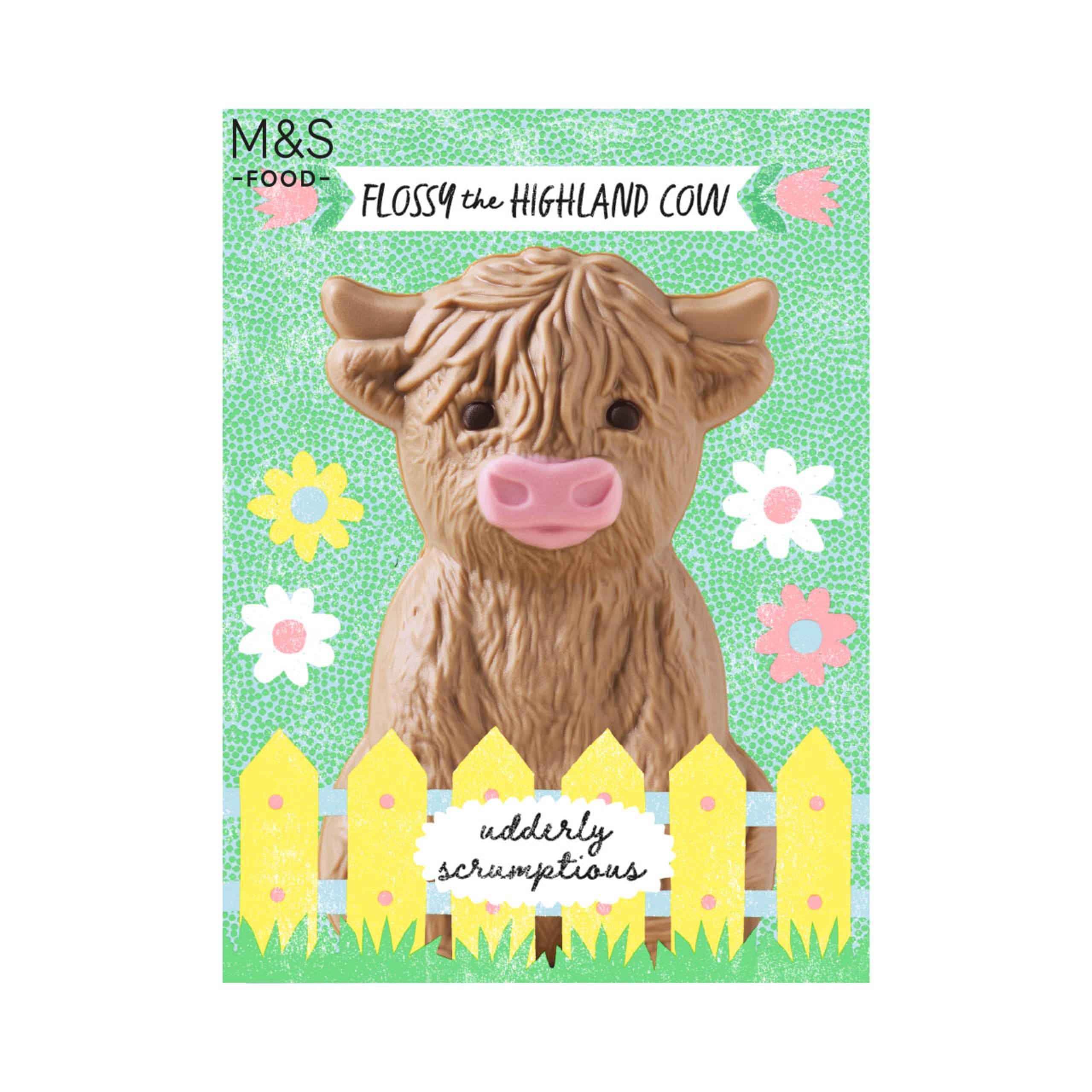 Flossy the Highland Cow | M&S