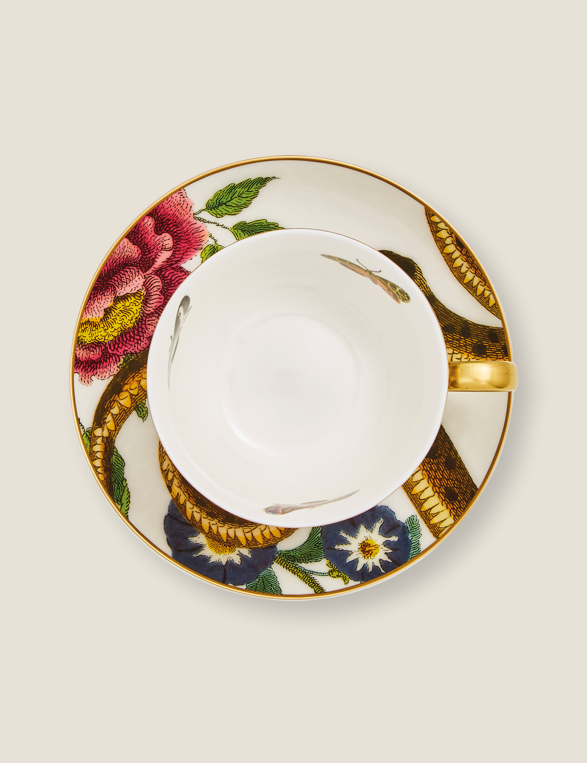 Creatures of Curiosity Cup & Saucer | Spode | M&S