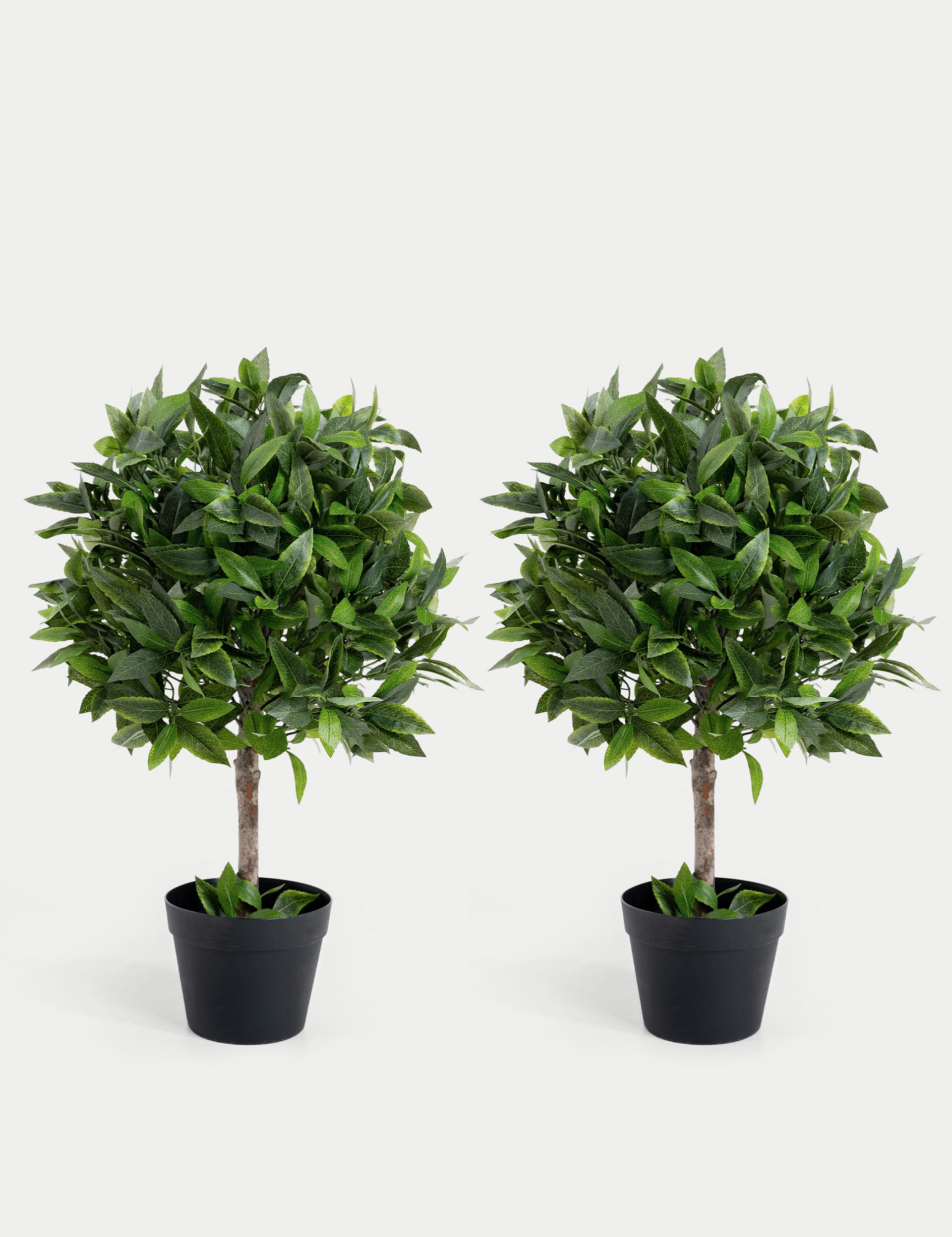 2.5ft Set of 2 Artificial Bay Bush Ball Trees | Blooming Artificial | M&S