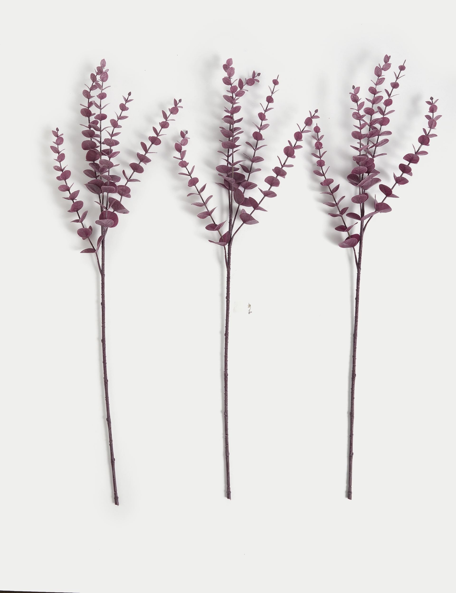 Set of 3 Artificial Eucalyptus Single Stems | Moss & Sweetpea | M&S
