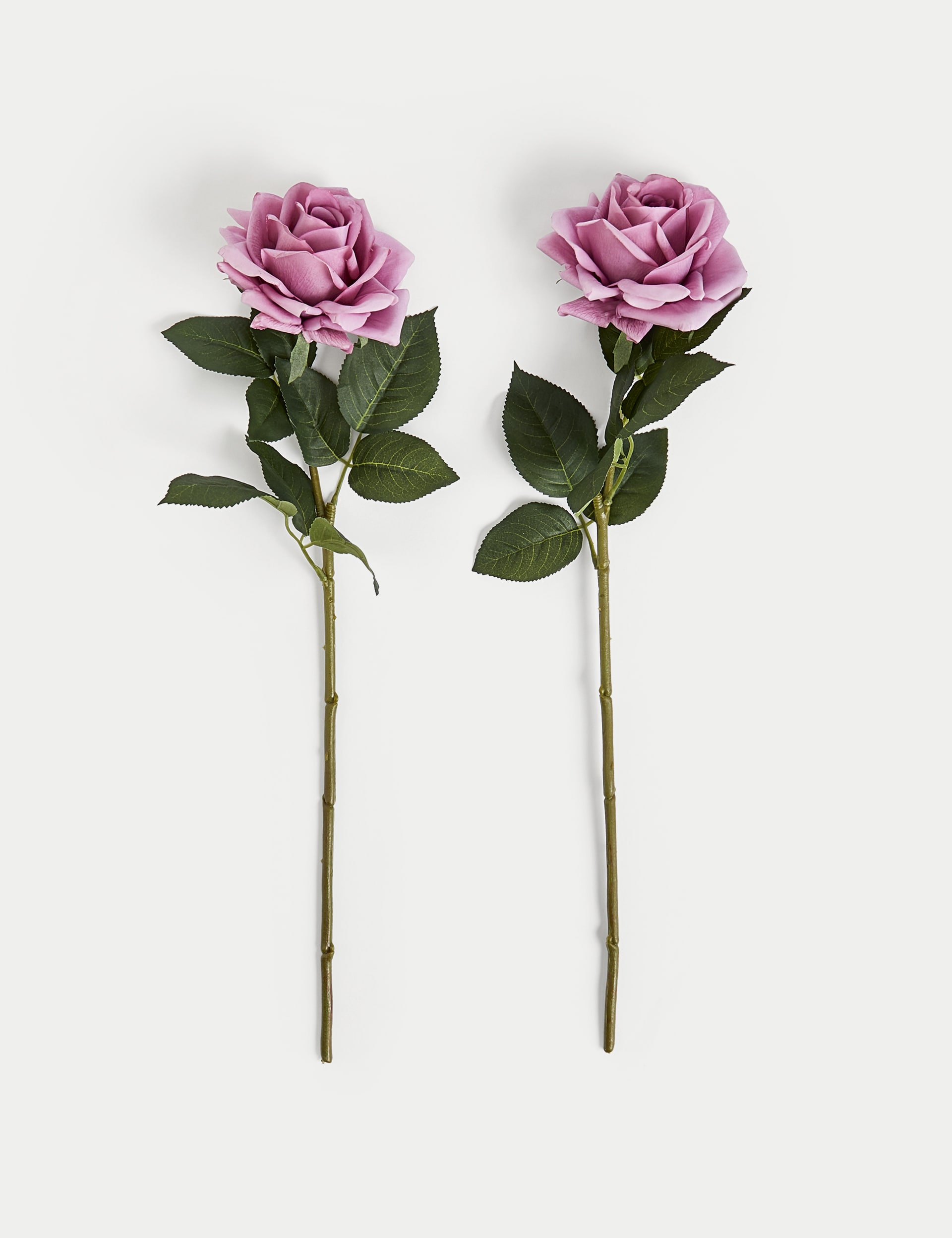Set of 2 Artificial Real Touch Rose Stems | Moss & Sweetpea | M&S