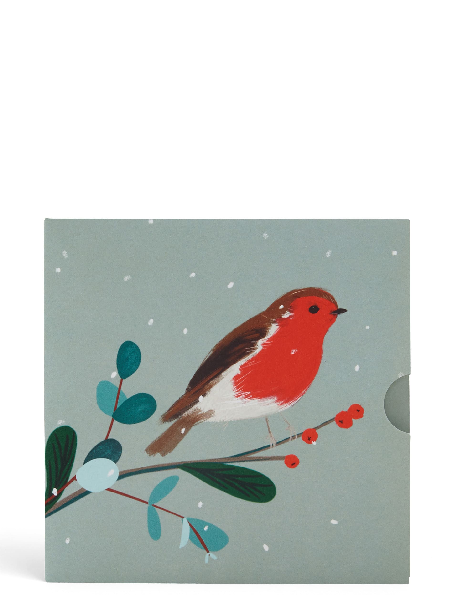 Robin Gift Card | M&S