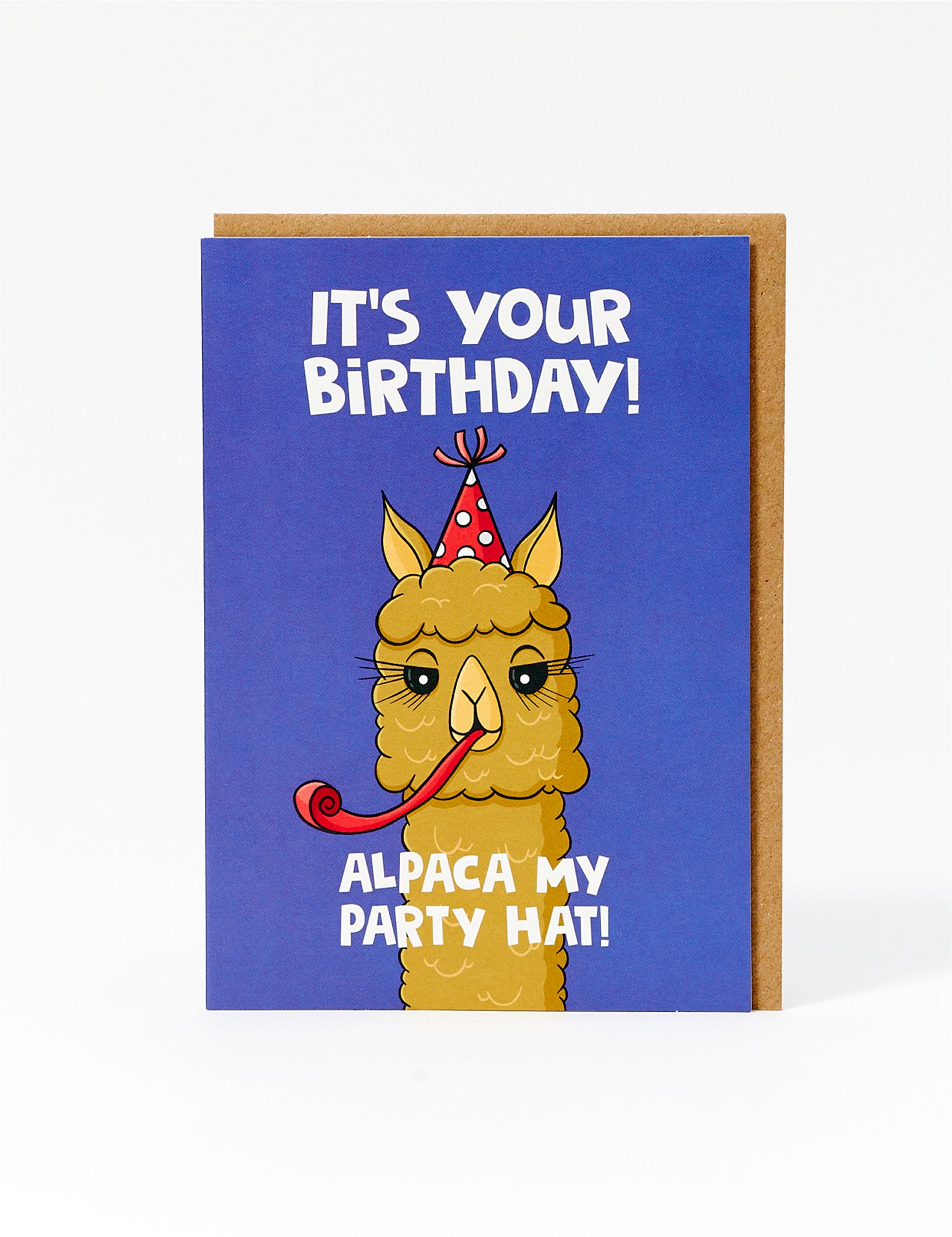 Alpaca My Party Hat Birthday Card | M&S