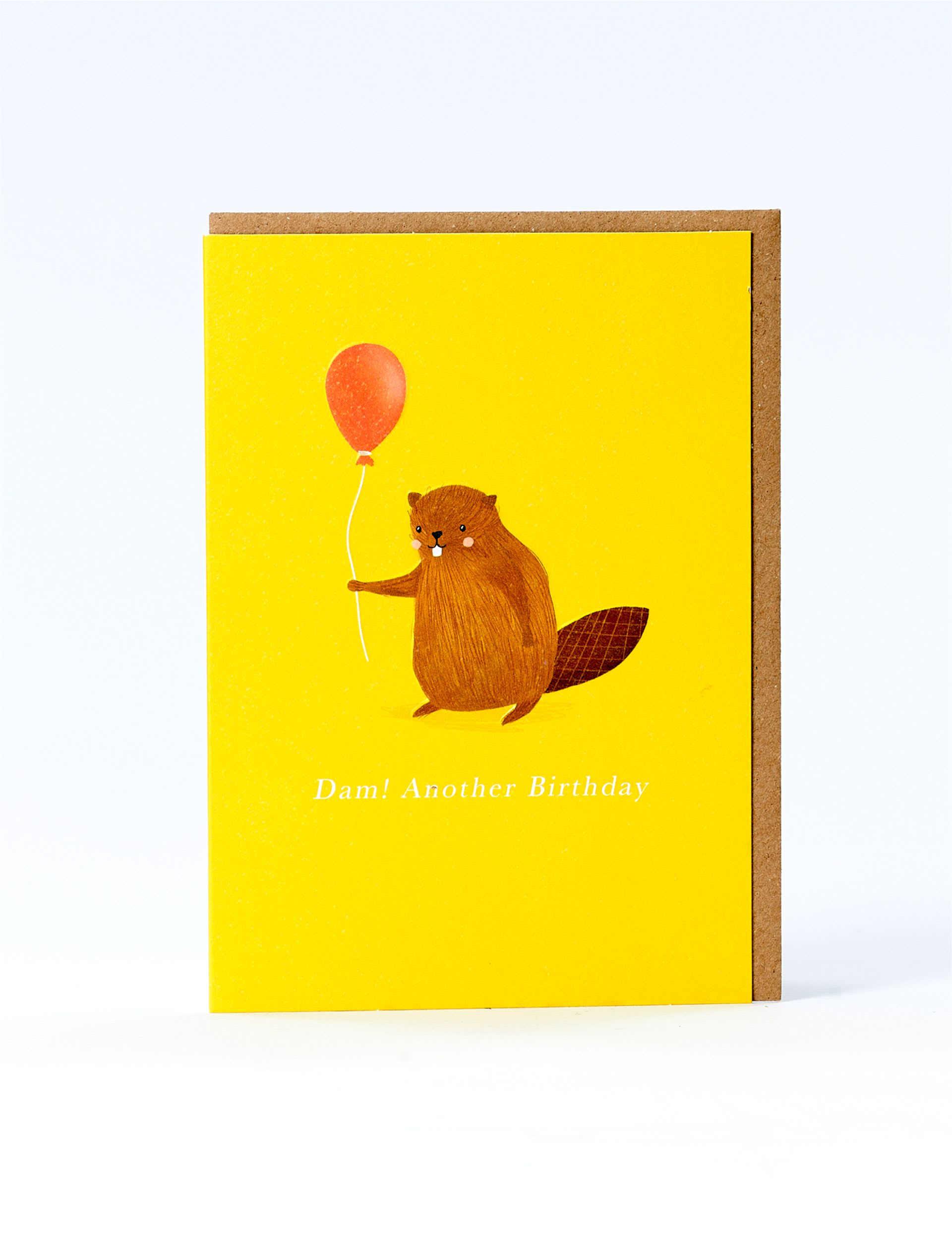 Dam Another Birthday Card | M&S