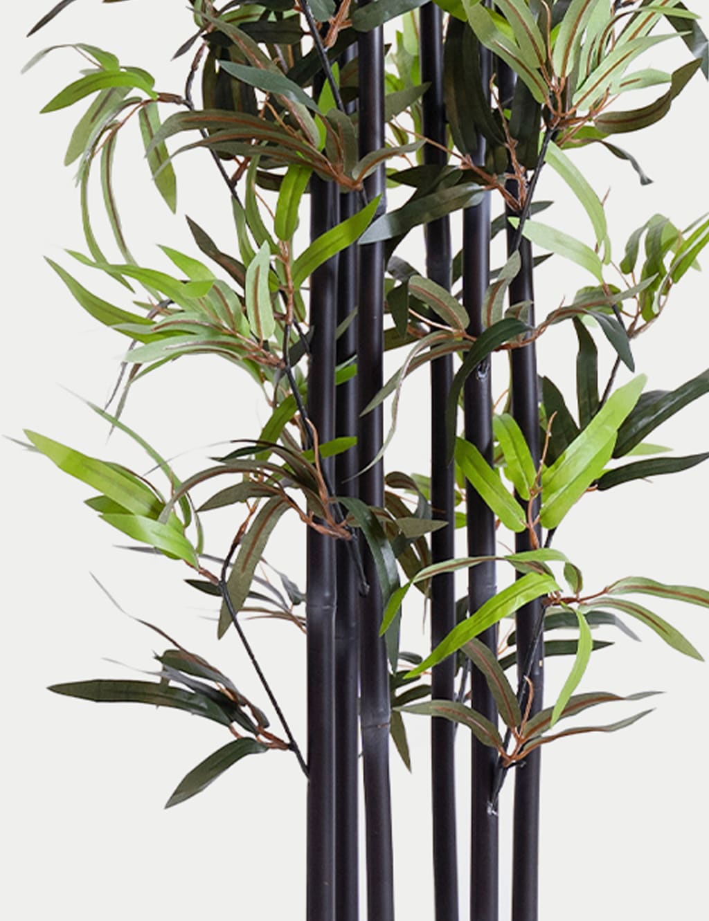5.5ft Artificial Black Stem Bamboo in Pot | Blooming Artificial | M&S