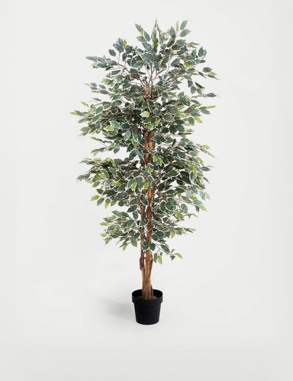 5ft Artificial Ficus Tree | Blooming Artificial | M&S