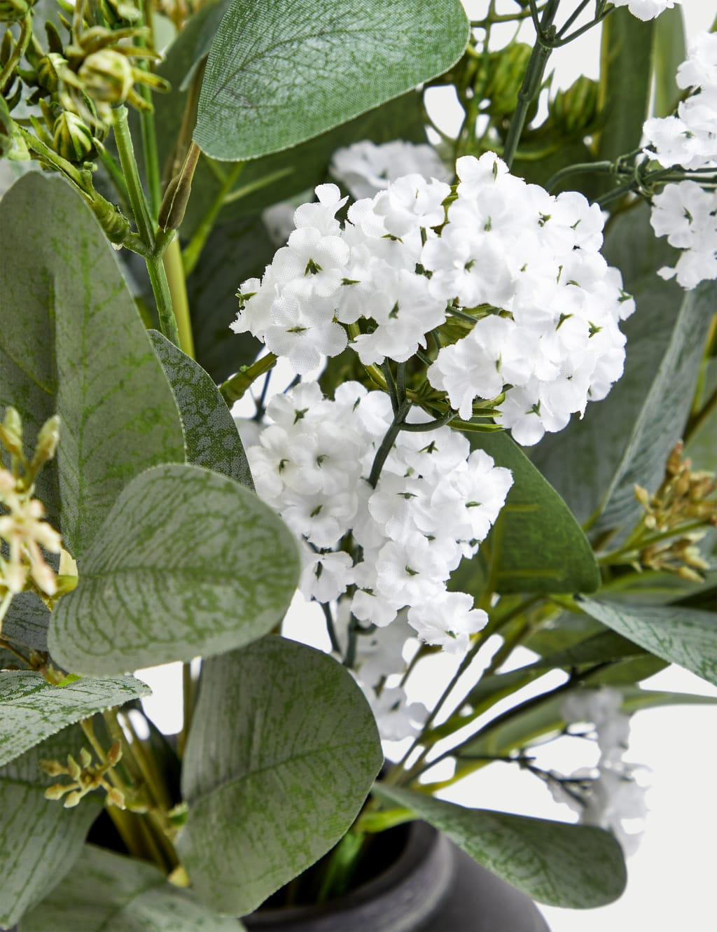 Marks and spencer artificial plants store