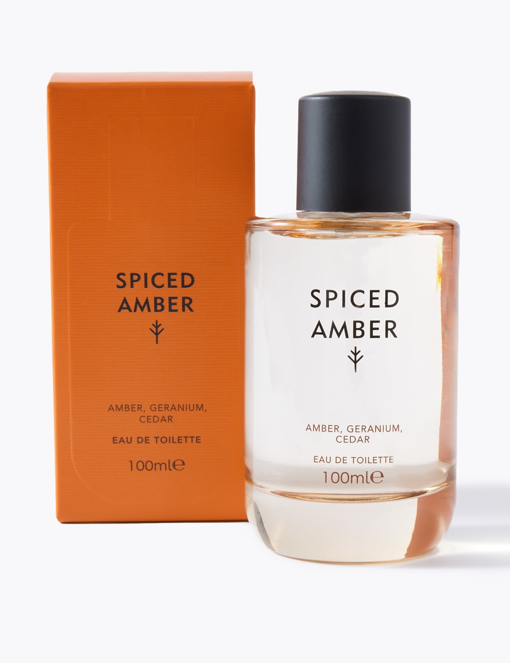 Spiced Amber Eau De Toilette 100ml | Discover | M&S