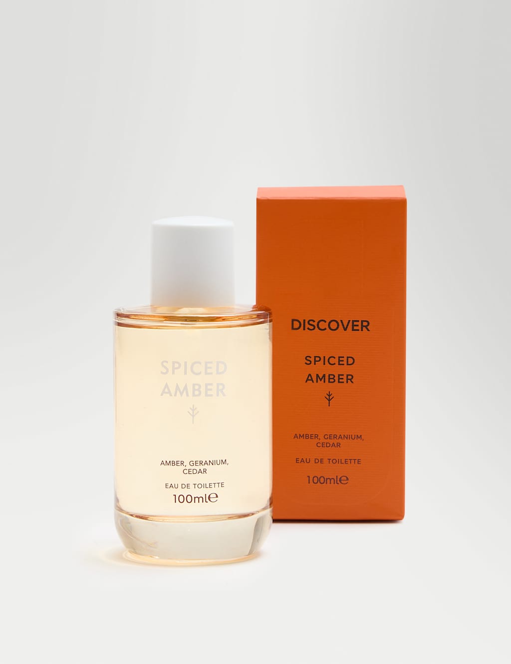 Spiced Amber Eau De Toilette 100ml | Discover | M&S
