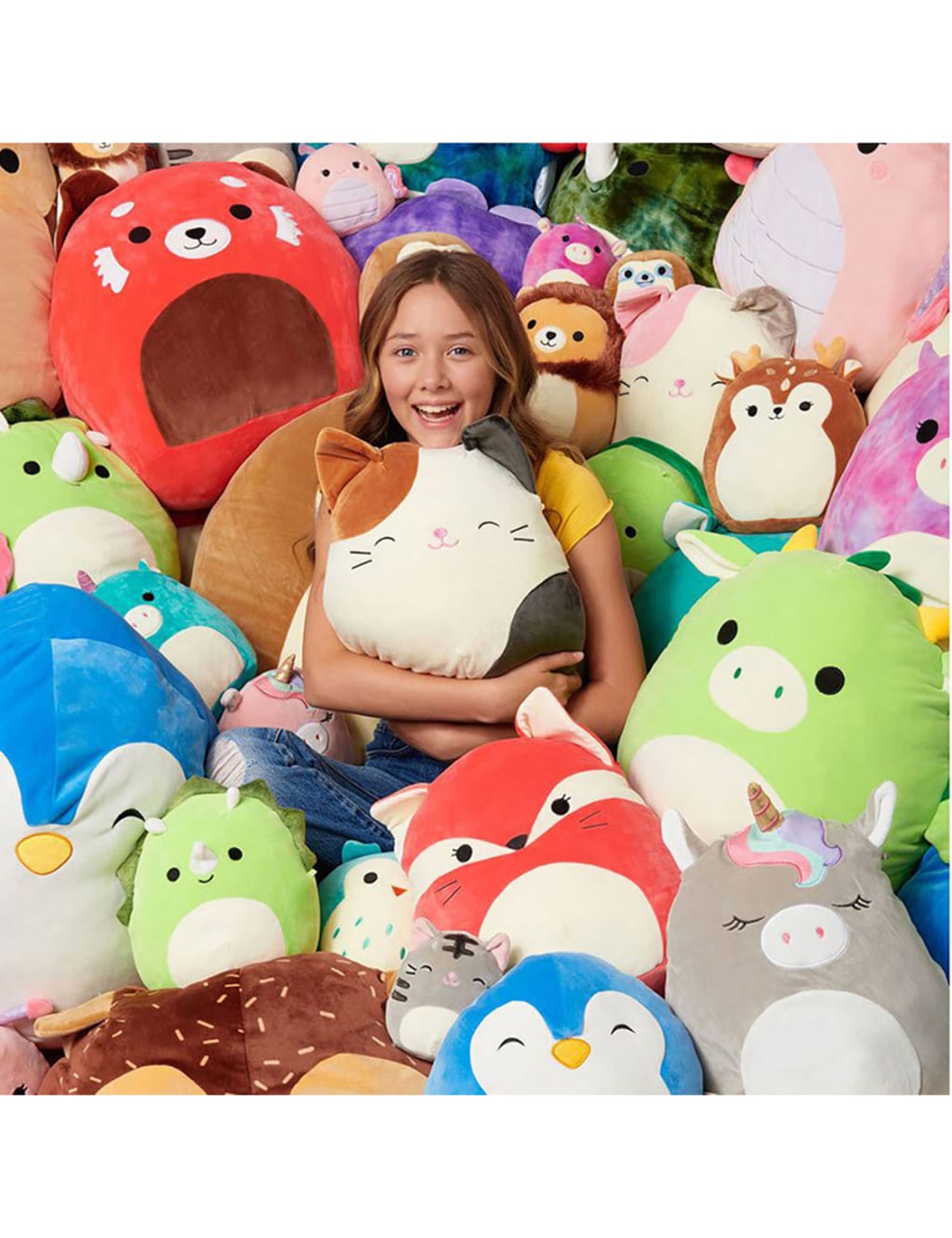 Prince the Brown Pug Plushie 0 Yrs Squishmallows M S
