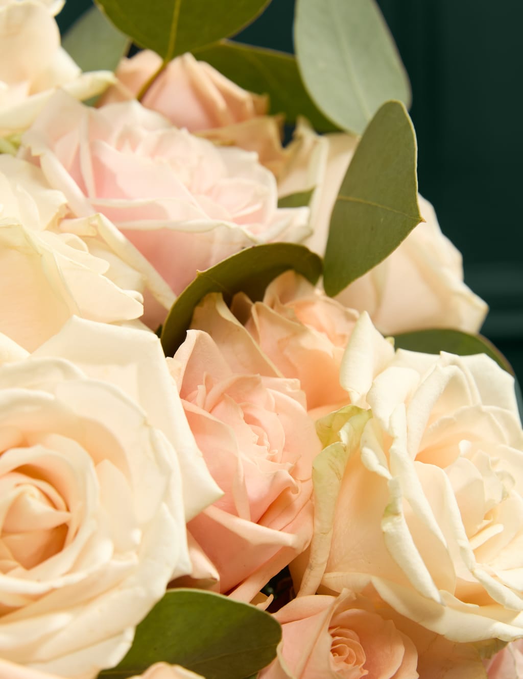 Rose & Eucalyptus Bouquet | M&S Collection | M&S