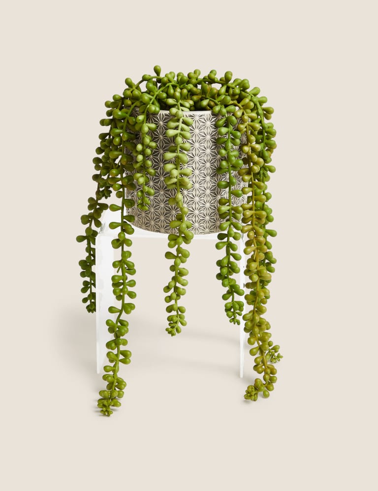 Artificial String of Pearls in Ceramic Pot | Moss & Sweetpea | M&S
