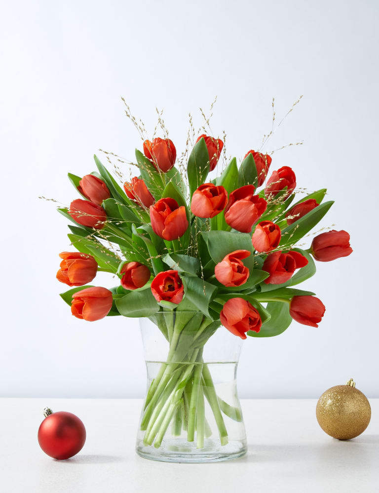 Christmas Tulip Bouquet 25 Extra free stems M S